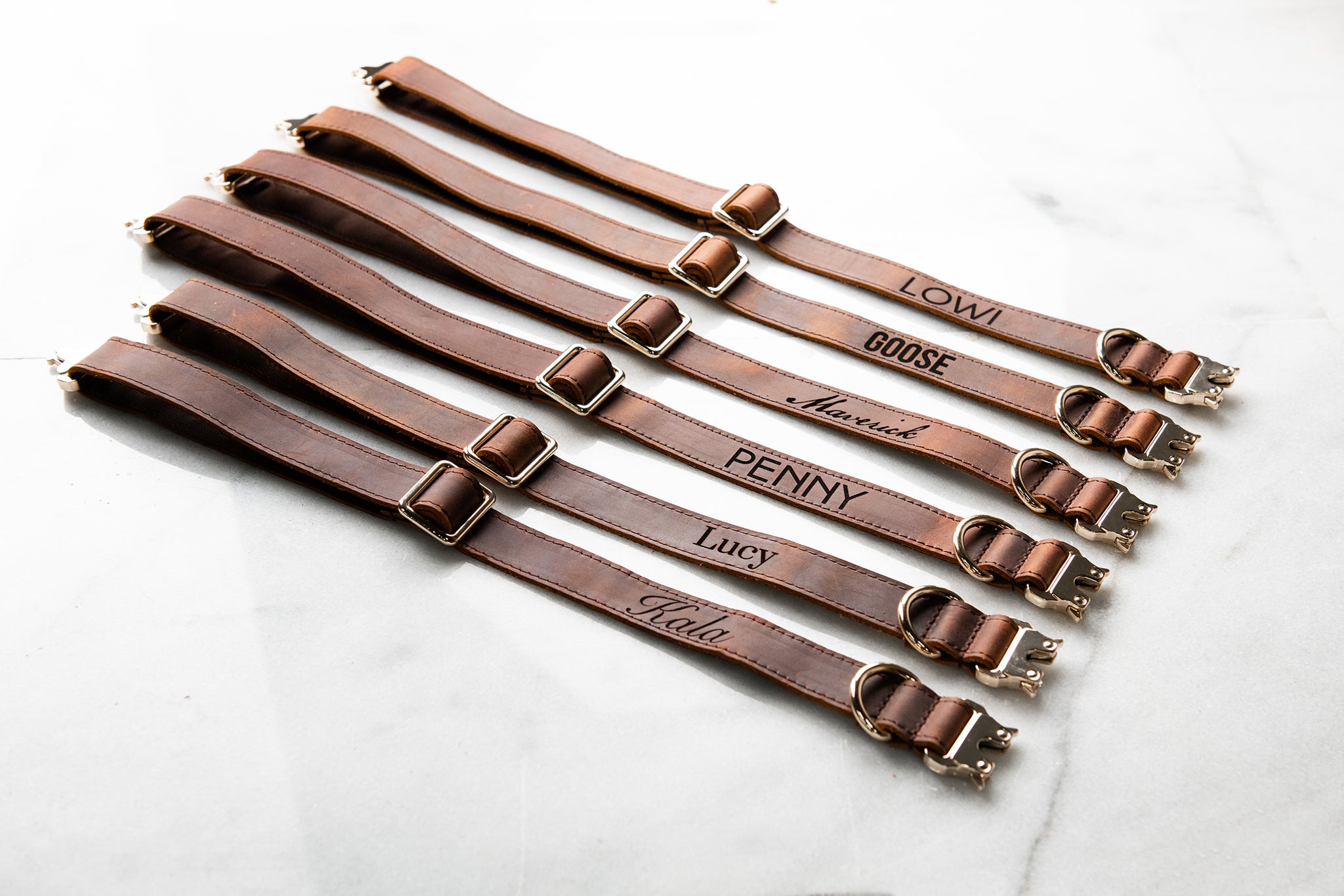 Personalized Distressed Leather and Kevlar Dog Collar and Leash Set